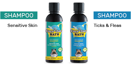 Dog Shampoo: Gentle & Effective Shampoo for Your Pet