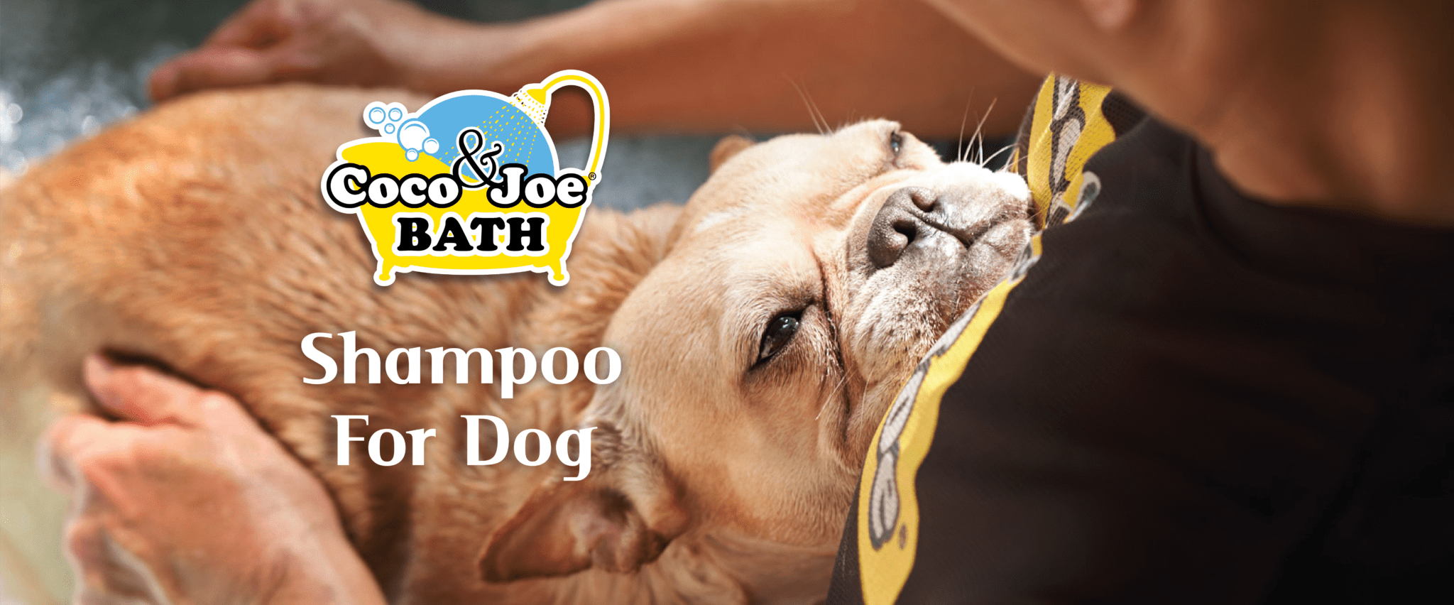 Dog Shampoo: Gentle & Effective Shampoo for Your Pet